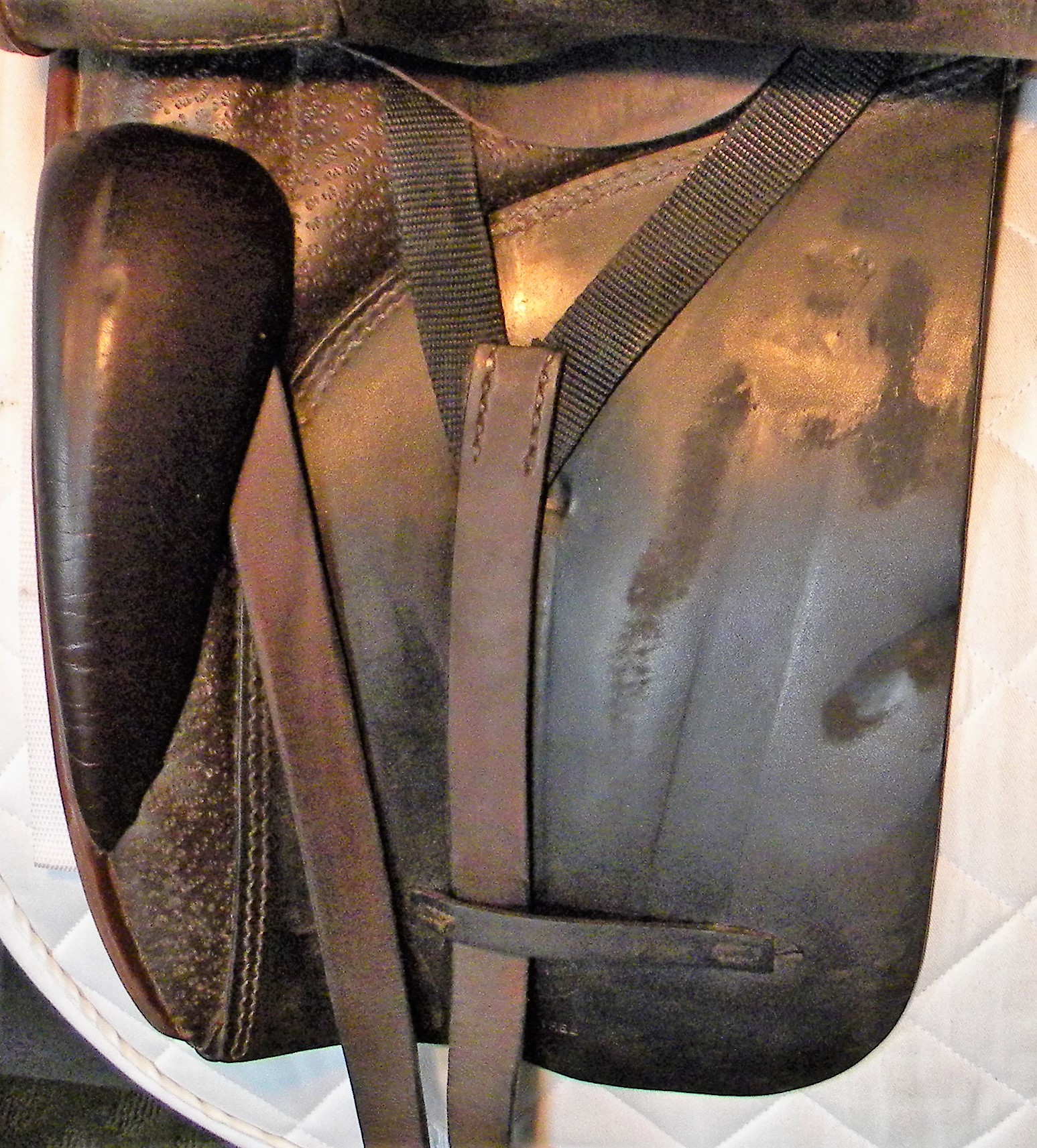 Confused by Billets? - Trumbull Mountain Tack Shop