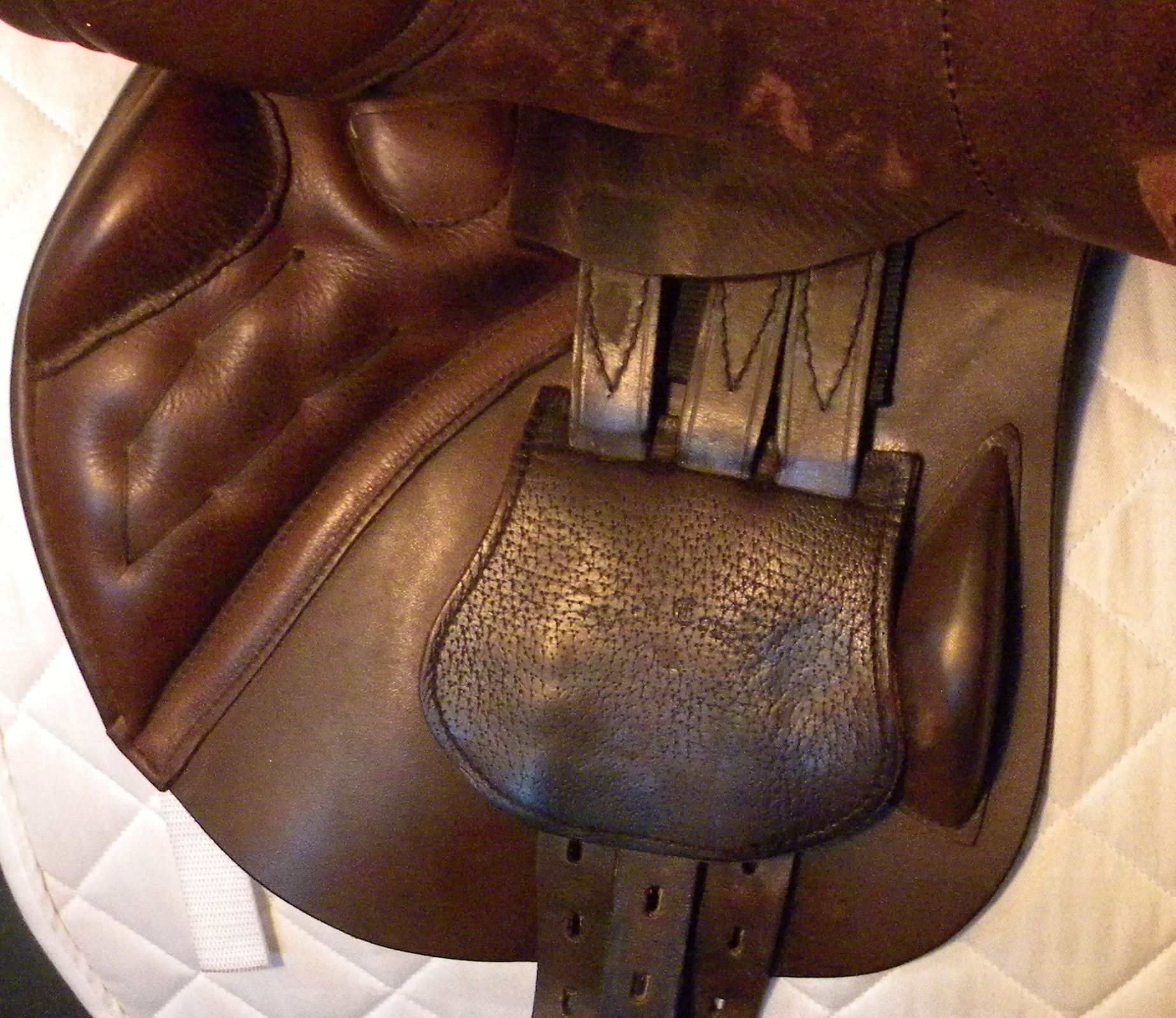 Confused by Billets? - Trumbull Mountain Tack Shop
